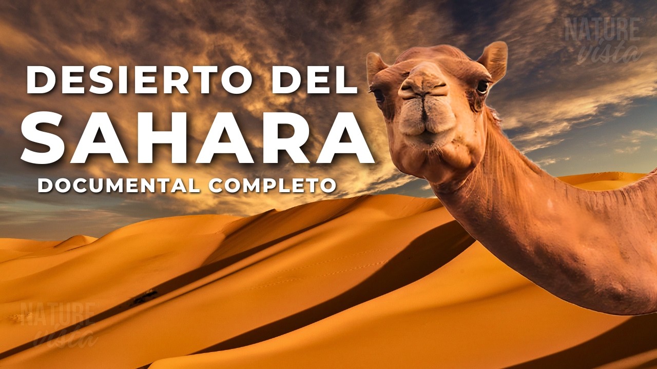 🥇 Desierto del Sahara: 7 maravillas que debes conocer hoy