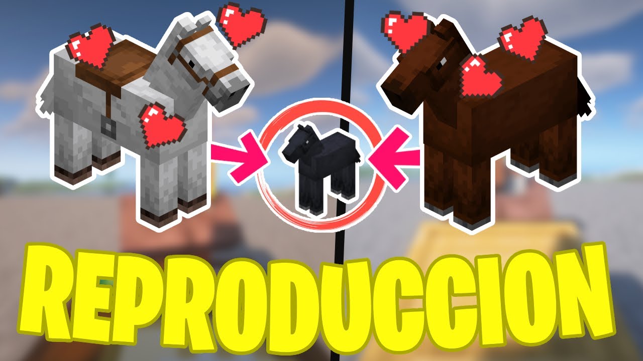 🥇 Como reproducir caballos en Minecraft: 5 tips esenciales para lograrlo