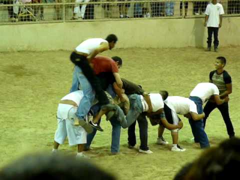 🥇 Juego del burro: 7 consejos para jugar y divertirte sin parar