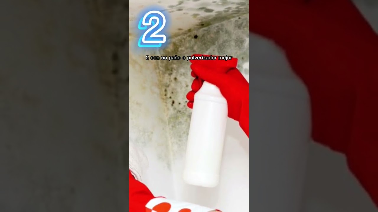 🥇 Moho en las paredes: 7 soluciones efectivas para eliminarlo