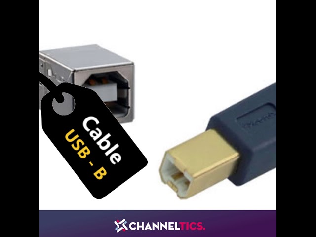 🥇 Tipos USB: 5 claves para elegir el conector ideal